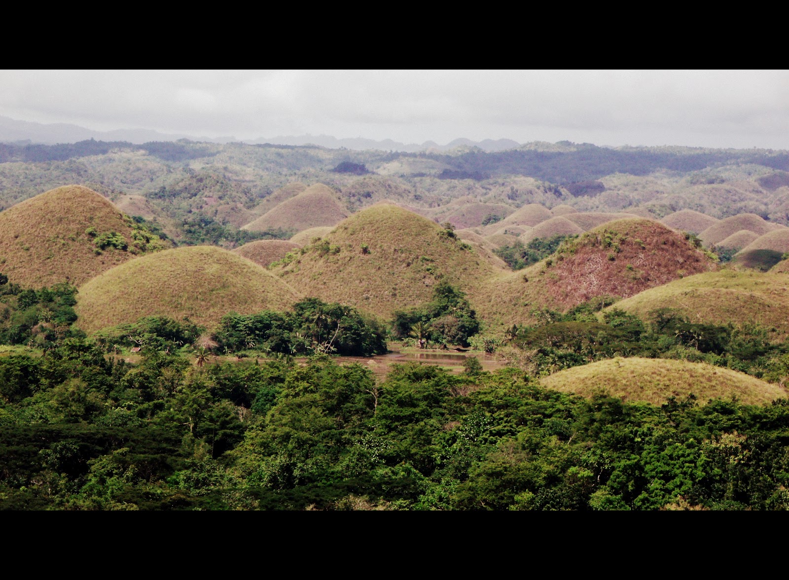 Lakwatserong Opis Worker: Buhol-Buhol sa Bohol The last part