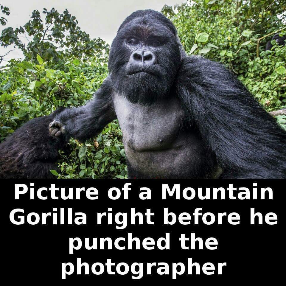 15 Awesome Crazy Facts | Amazing WTF Facts