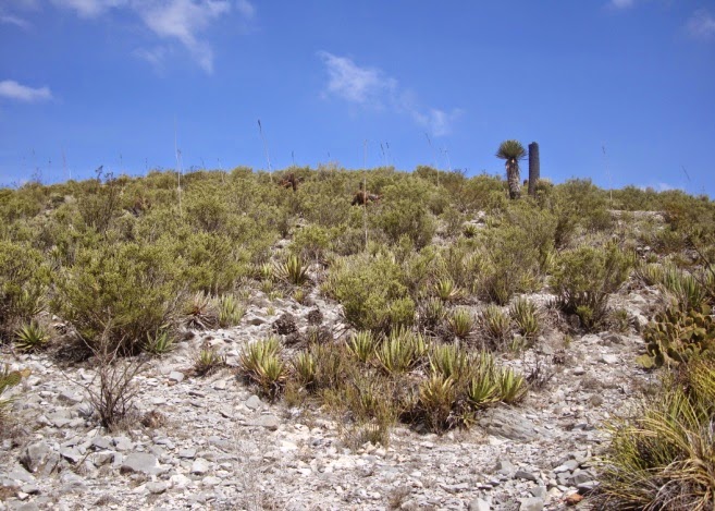 trabajos: trabajos: Portada