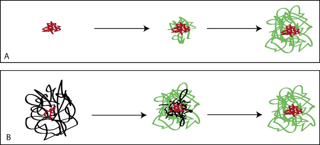 Protein Evolution and Other Musings: The ancestral ribosome: my ...