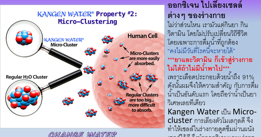 Micro Clustered Ionized Water and Your Brain | เครื่องทำน้ำด่าง Enagic ...