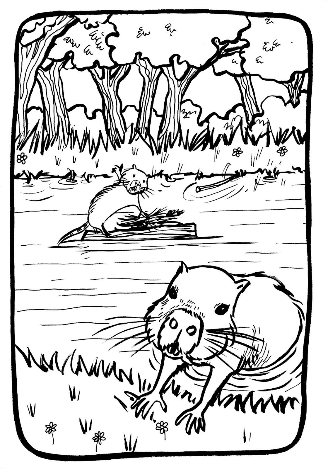 marion de castillon: Coloriage du mercredi : un ragondin marion de castillon: Coloriage du mercredi : un ragondin