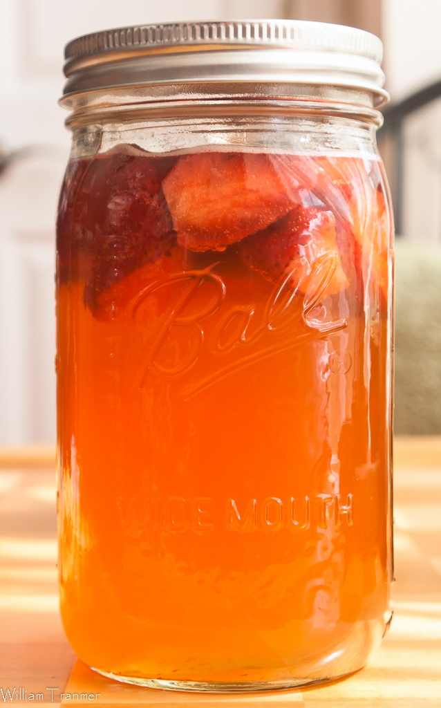 A Dose of Frosting..: Kombucha: It’s spring and it’s growing, let’s ...