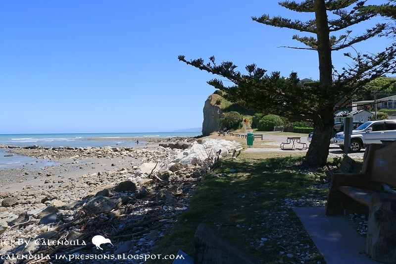 NZ, 3. Teil, Motunau Beach