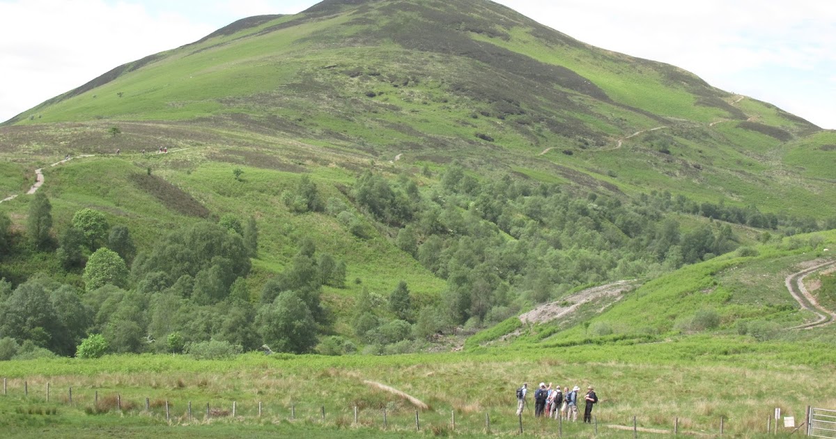 Adventures of the Early Ooters: Myconic pics