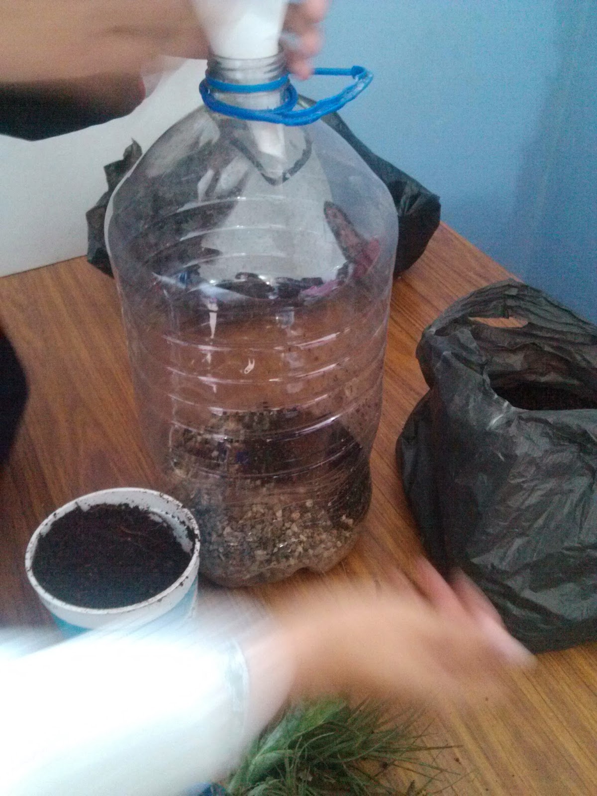 Prácticas Ecología- Equipo 5 : PRÁCTICA 3- "MICROECOSISTEMA"