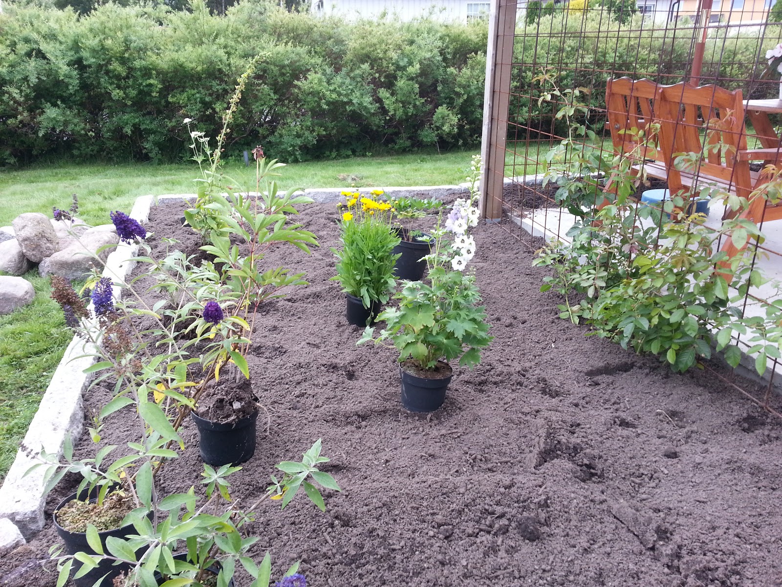 Solsikkehjerte: Nye blomsterbed og flott uteplass:)