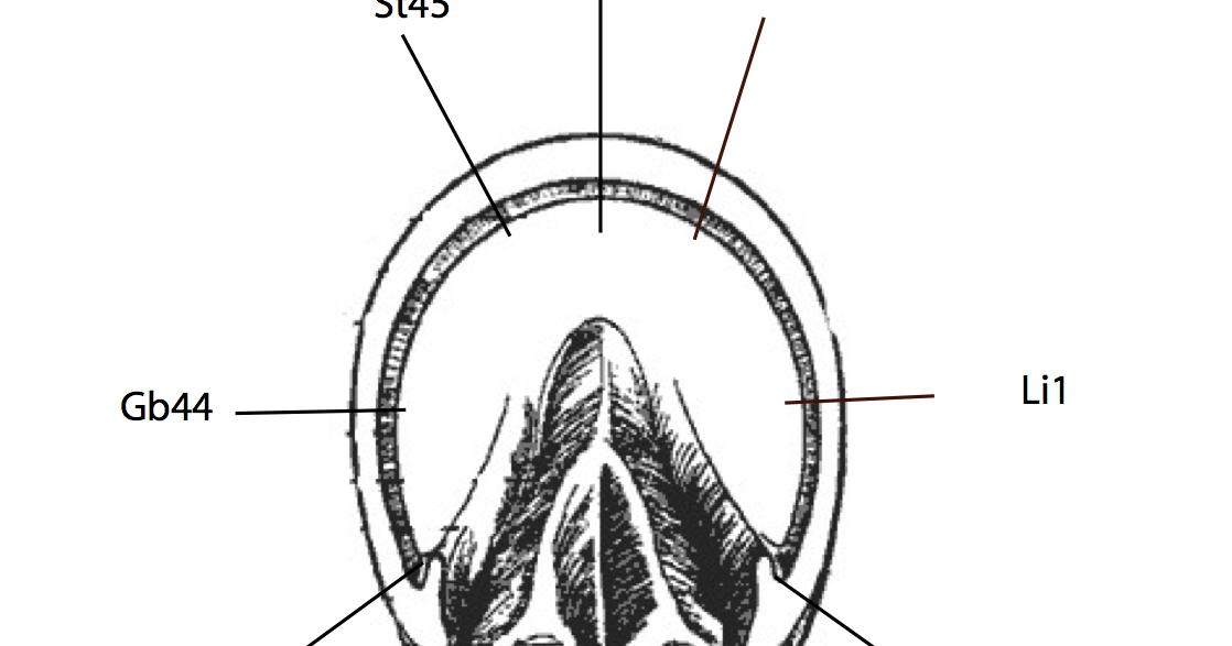 How to get your horse’s hoofs to grow evenly.