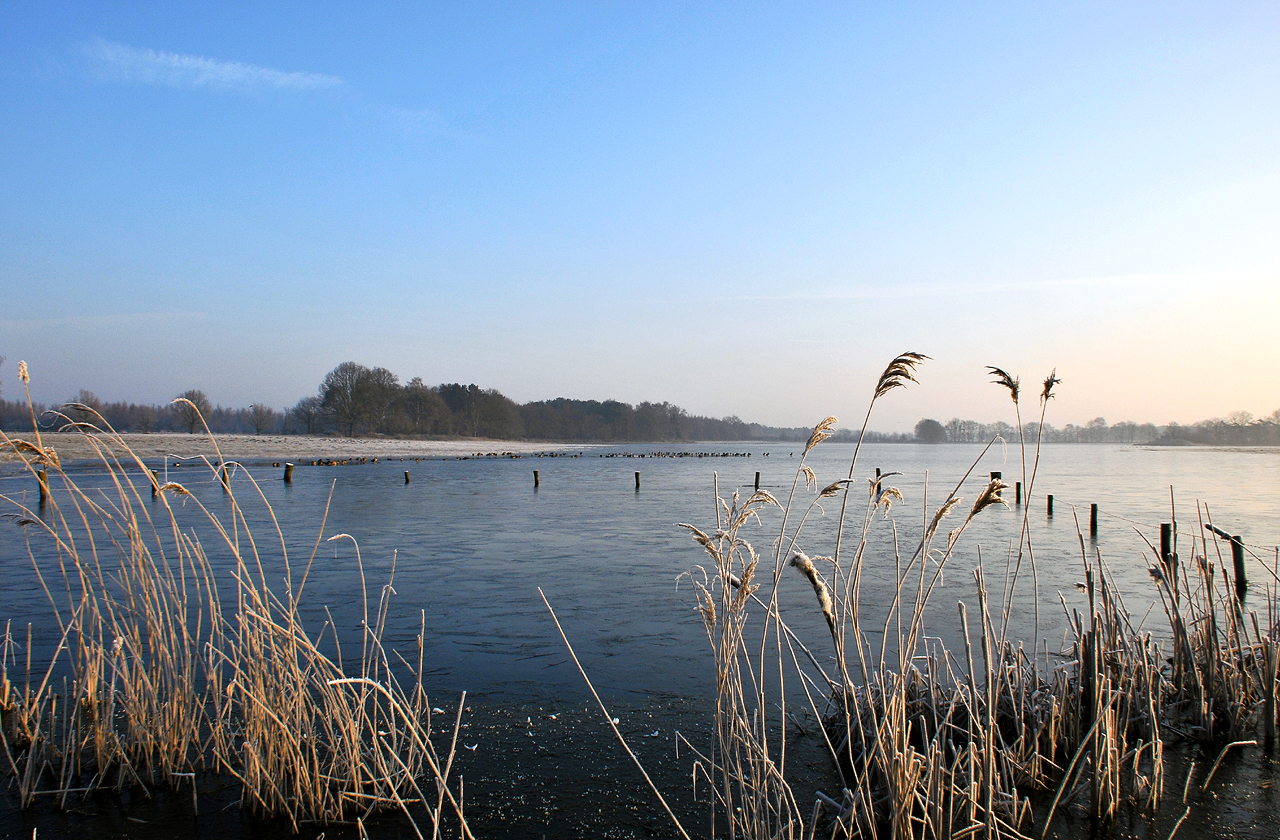 Jozef van der Heijden - Natuurfotografie: Het Beleven ontwaakt onder de ...