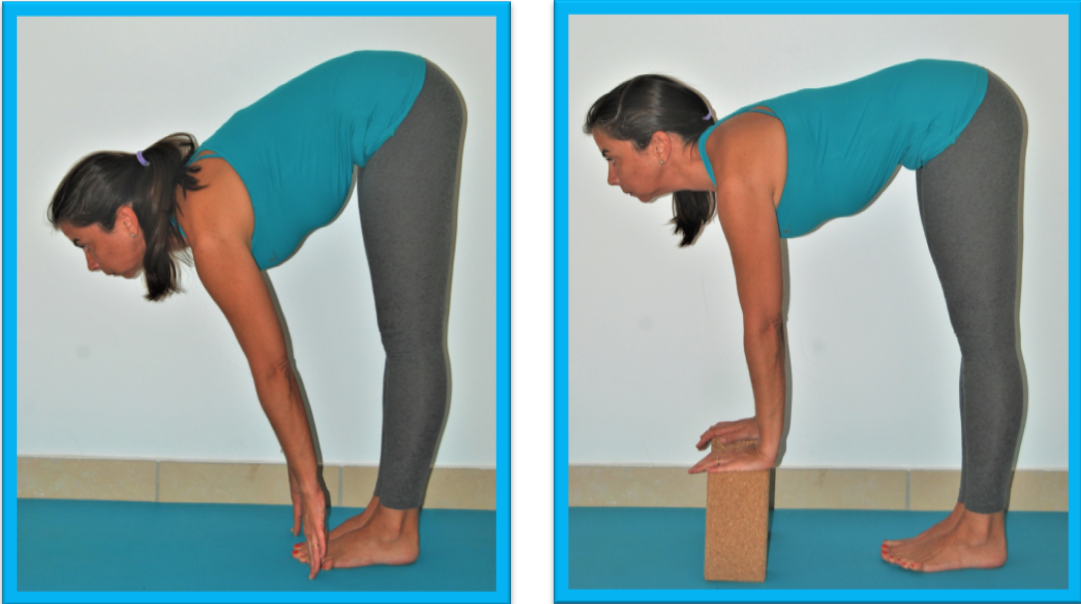 Ardha Uttanasana (Standing Half Forward Bend Pose)