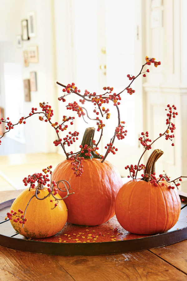 ciao! newport beach: beautiful pumpkin clusters