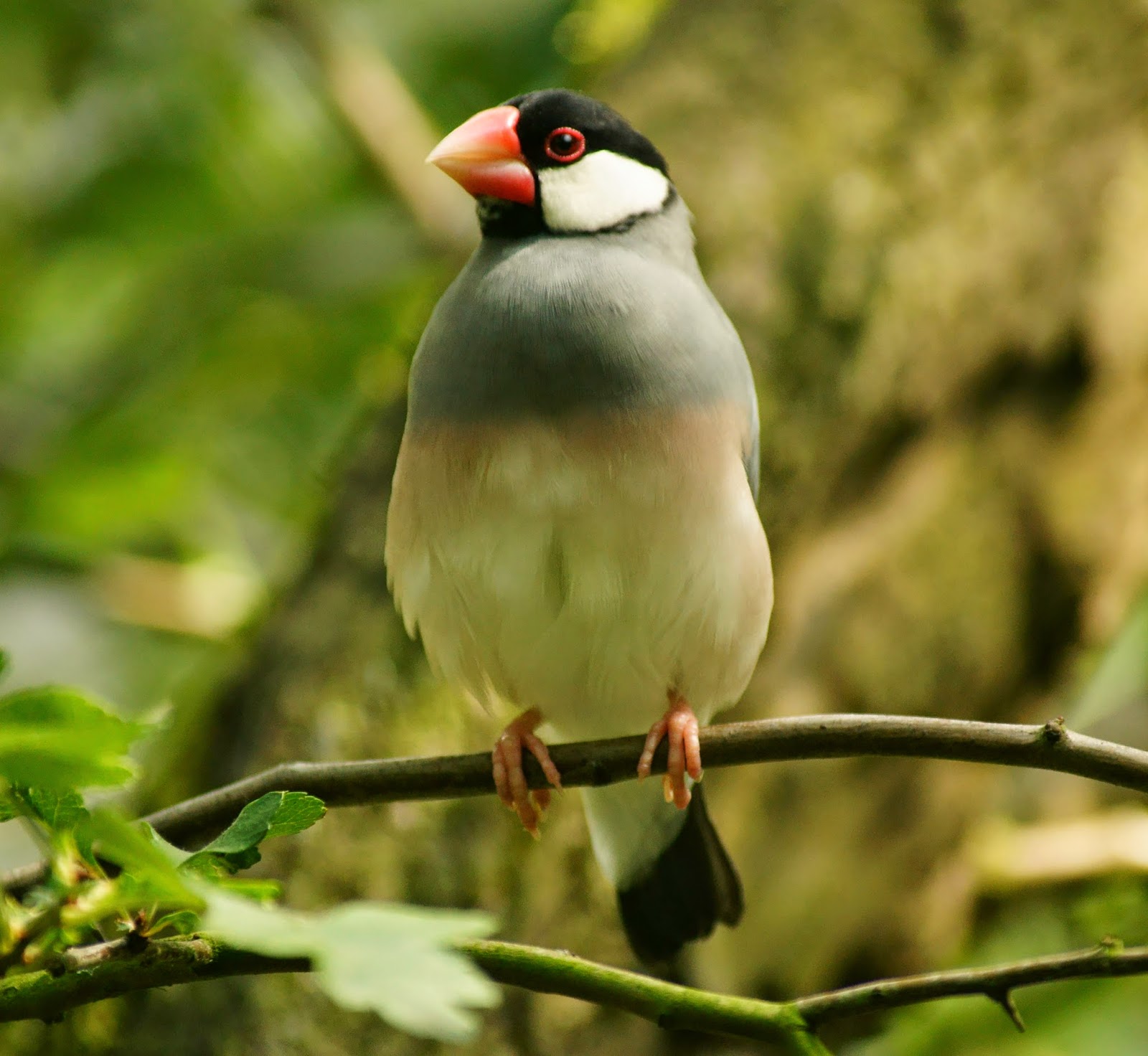 Photography for mortals: July 2014