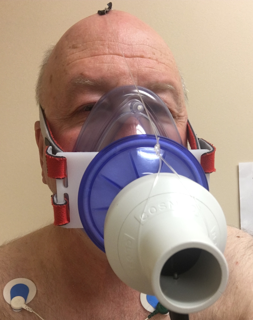 BLCKDGRD: Parties Thereof and Clause of Claws