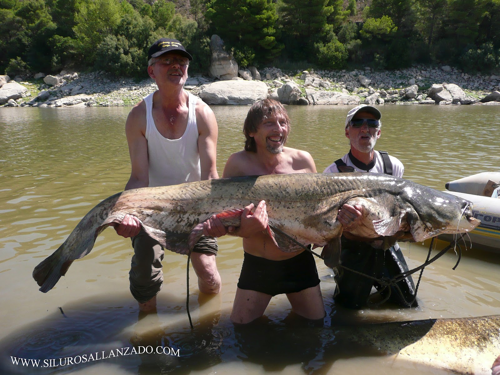 PESCA DEL SILURO EN EL EBRO: PESCA GUIADA DEL SILURO - NUEVO RECORD ...