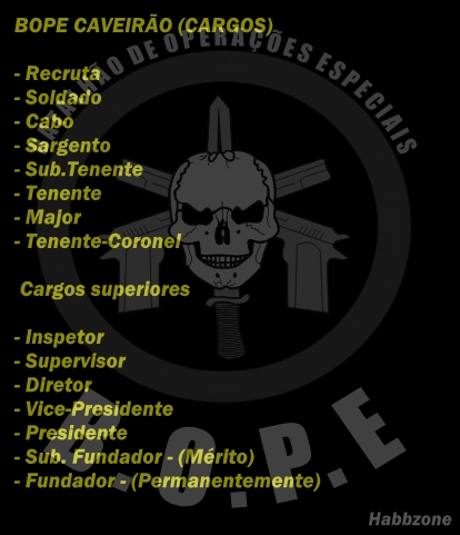 BOPE CAVEIRÃO : Hierarquia