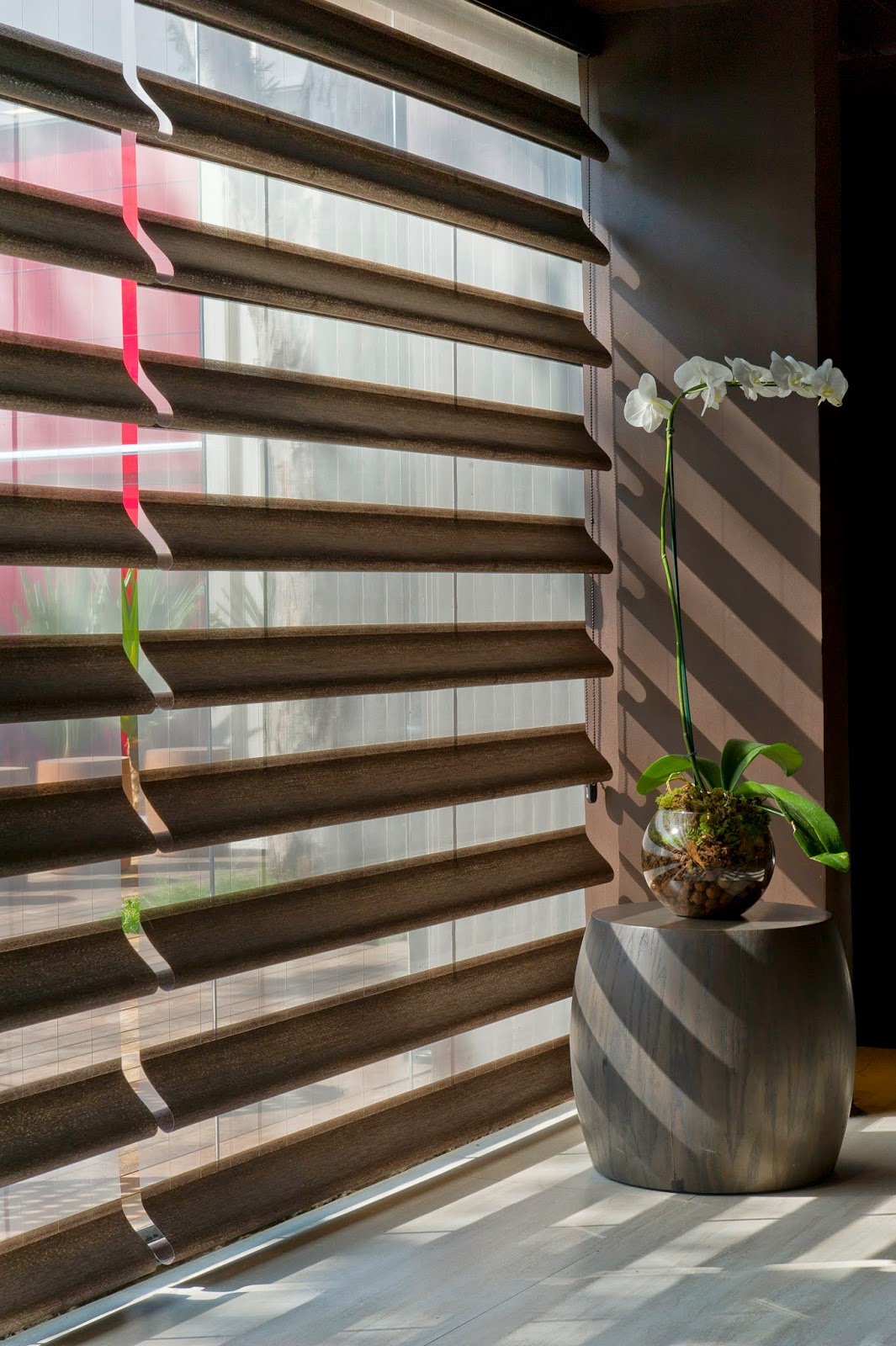 Lucas Decor Persianas e Cortinas: Cortina Rolo Ilumine