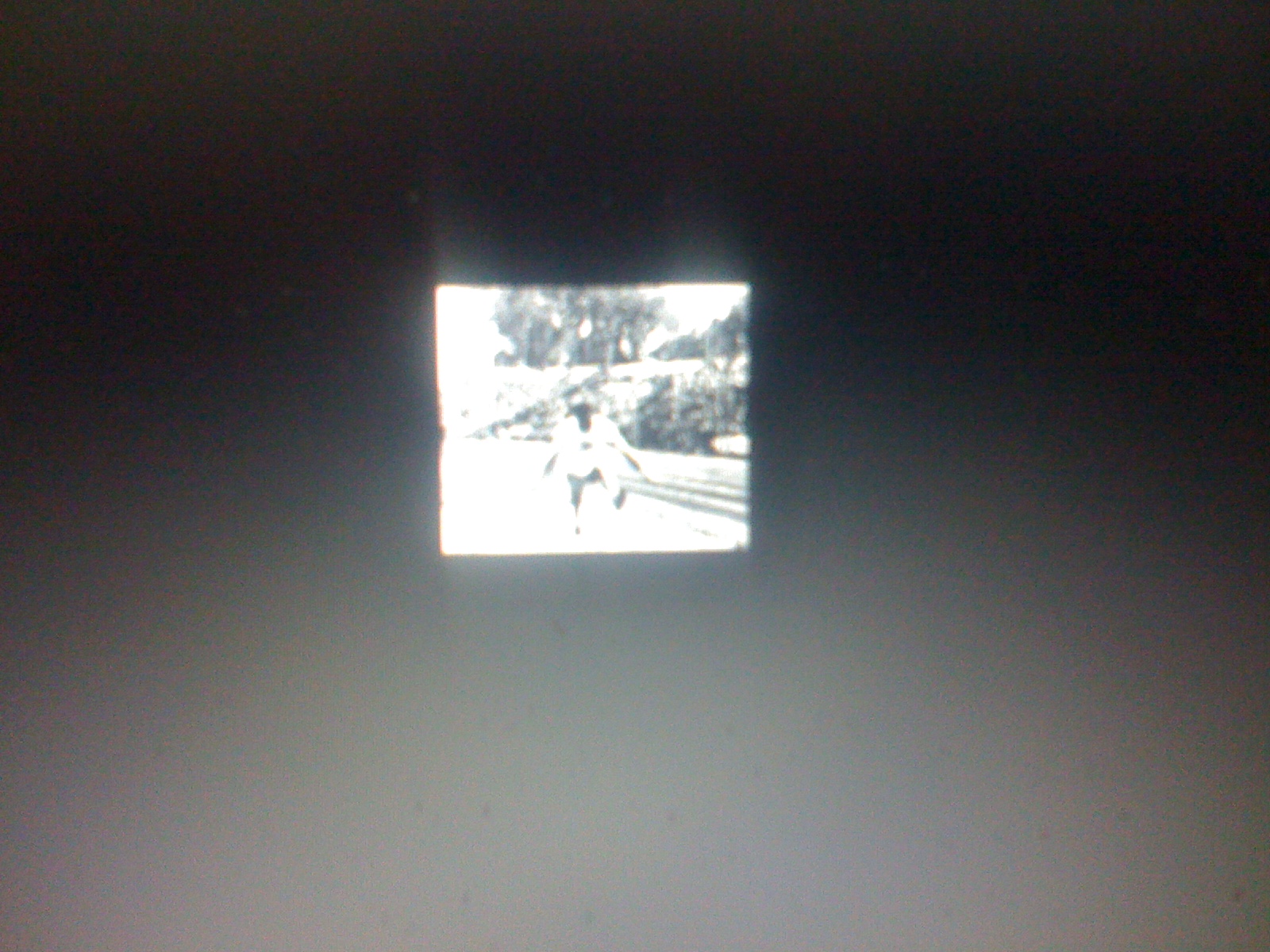 THE BLACK SOCIAL HISTORY:: BLACK SOCIAL HISTORY : WILLIAM DeHART ...