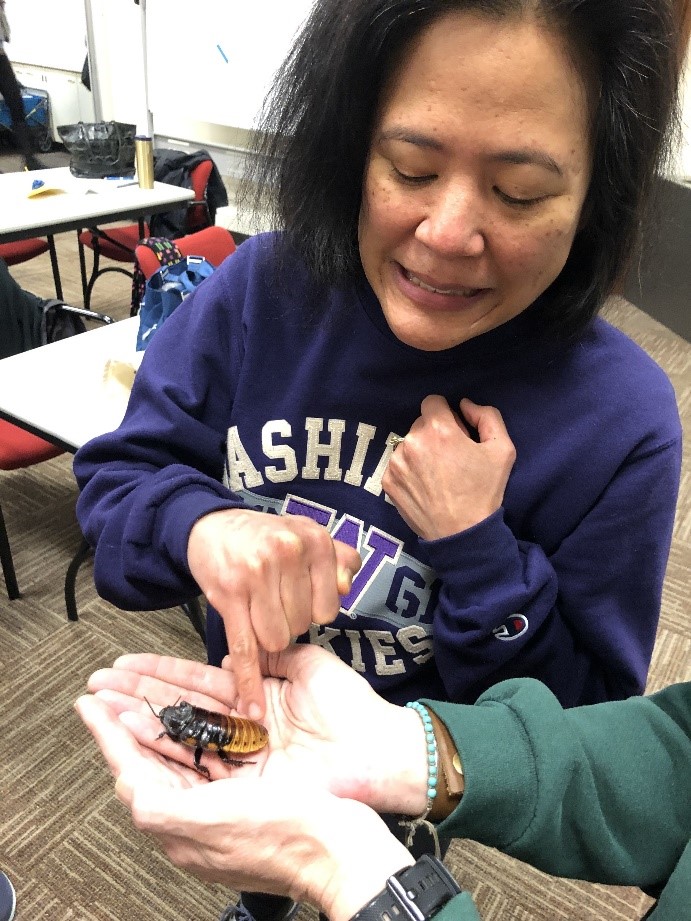 Librarians lead us into a summer of adventure with Bug Safari
