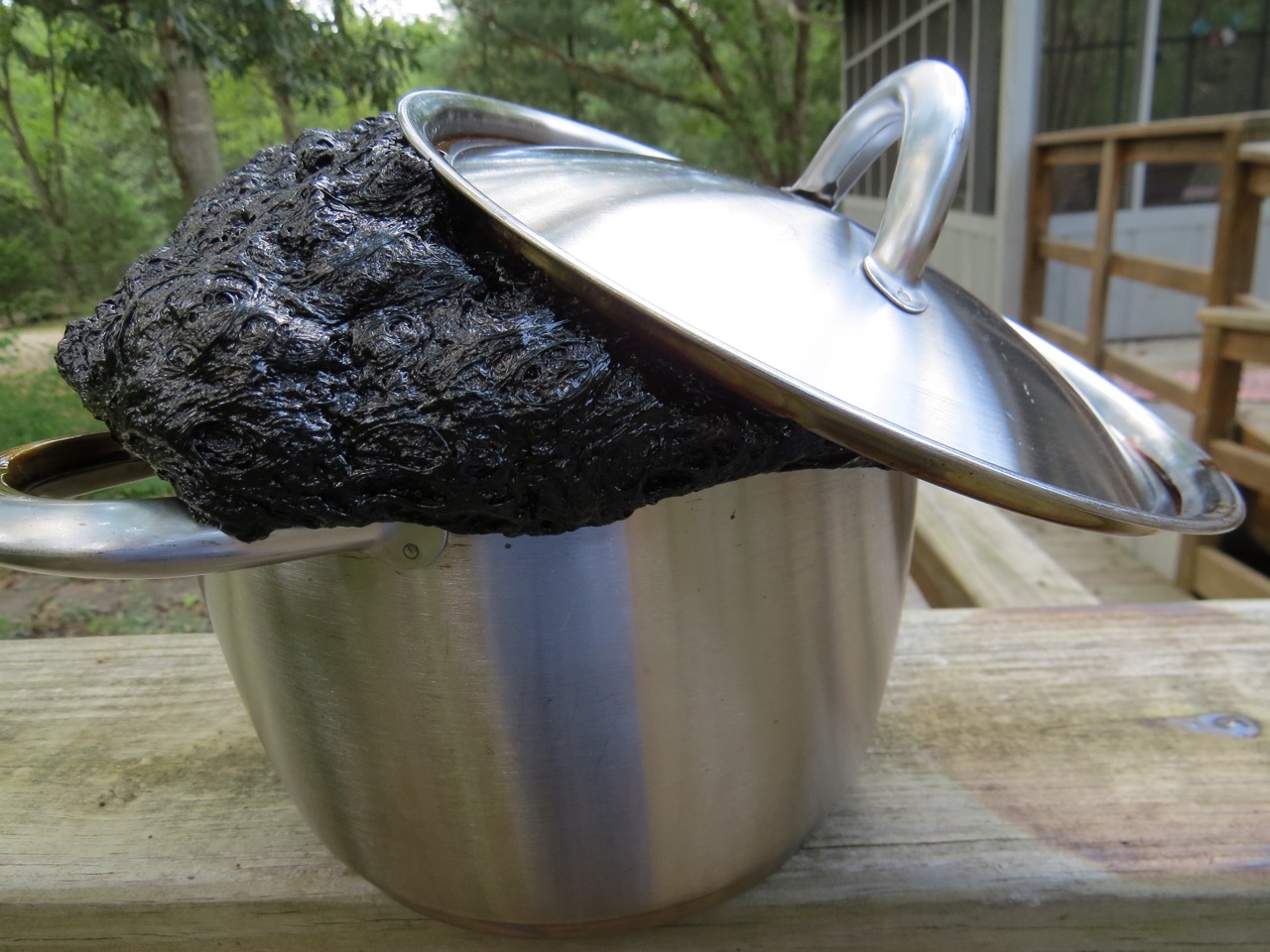 ROSEMARY'S ADVENTURES: LAVA AND VOLCANOES