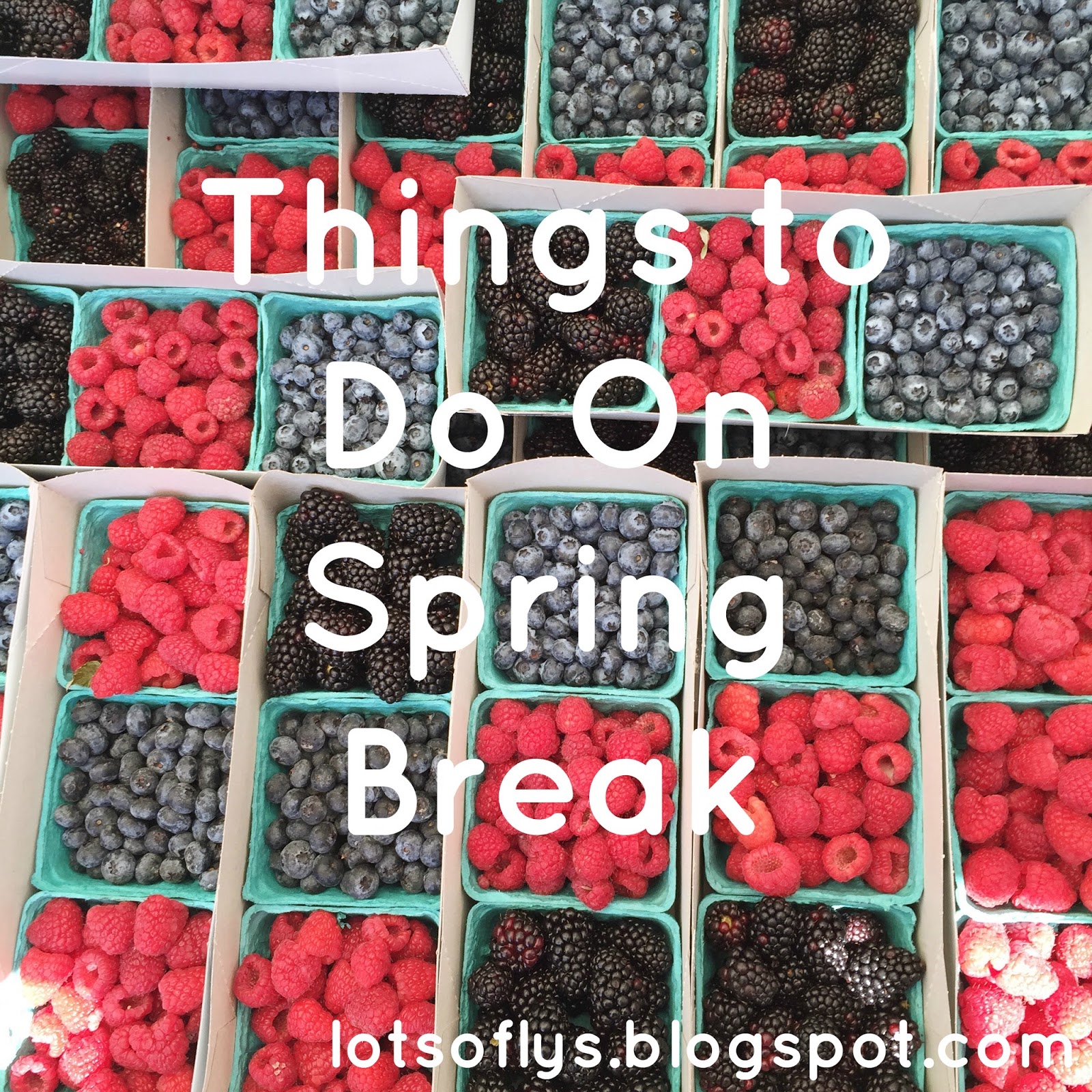 Lots of Lys : Things to Do On Spring Break