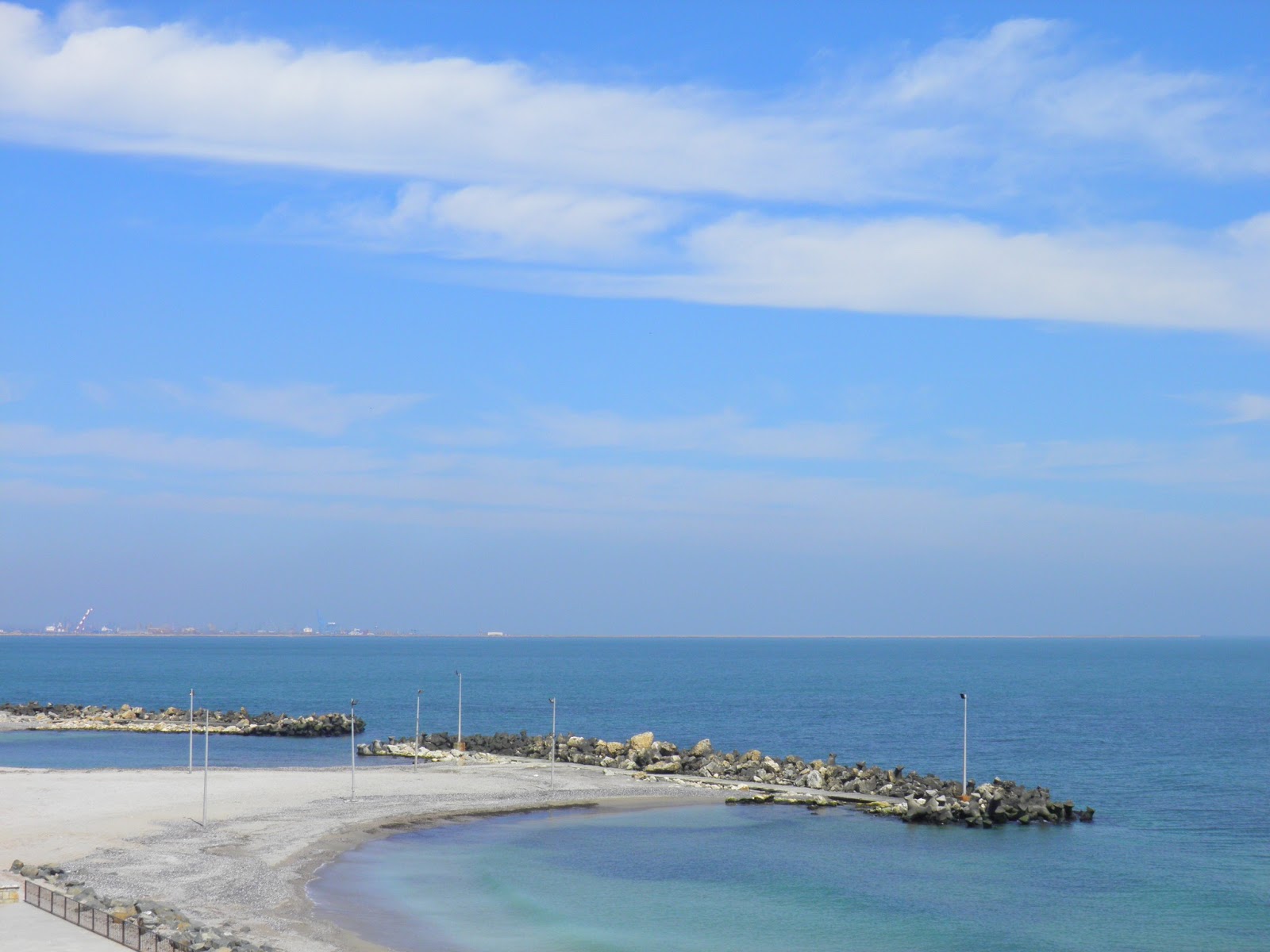 PASARI DIN ROMANIA: CODROS DE MUNTE (2), Phoenicurus ochruros