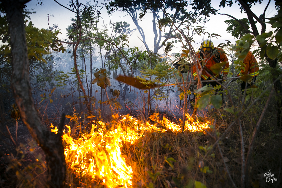 193bombeiros: Incêndio Florestal | SAAN ao lado do Parque Nacional - 05 ...