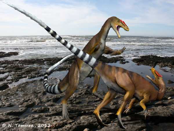 Paleoexhibit: Bicentenaria argentina, a new theropod dinosaur from ...