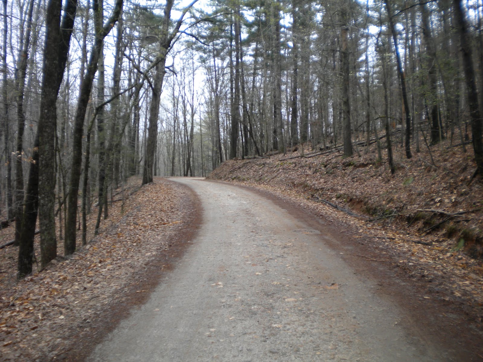 Kansas City Rasta Rider: Issaqueena Forest in pictures and captions.