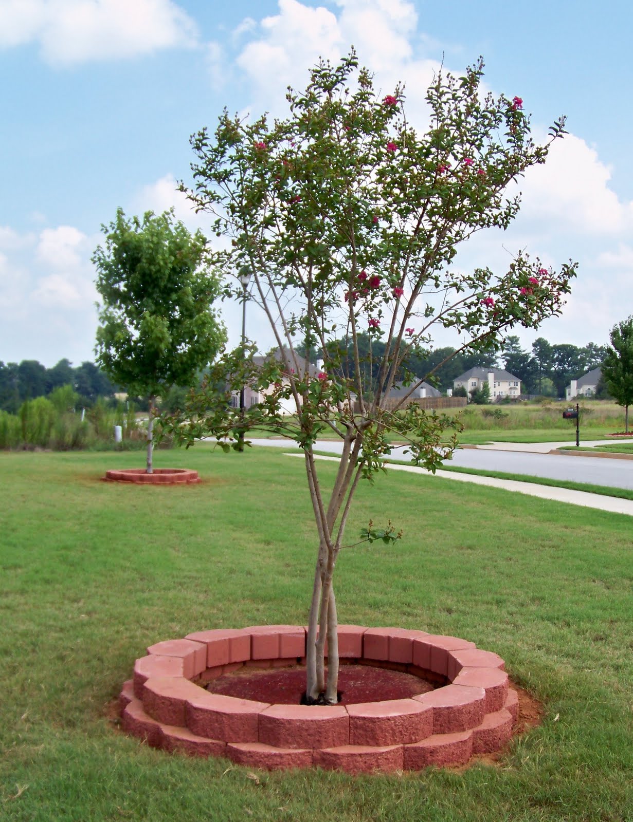 Sugar & Spice in the land of Balls & Sticks: Building Blocks in the Garden