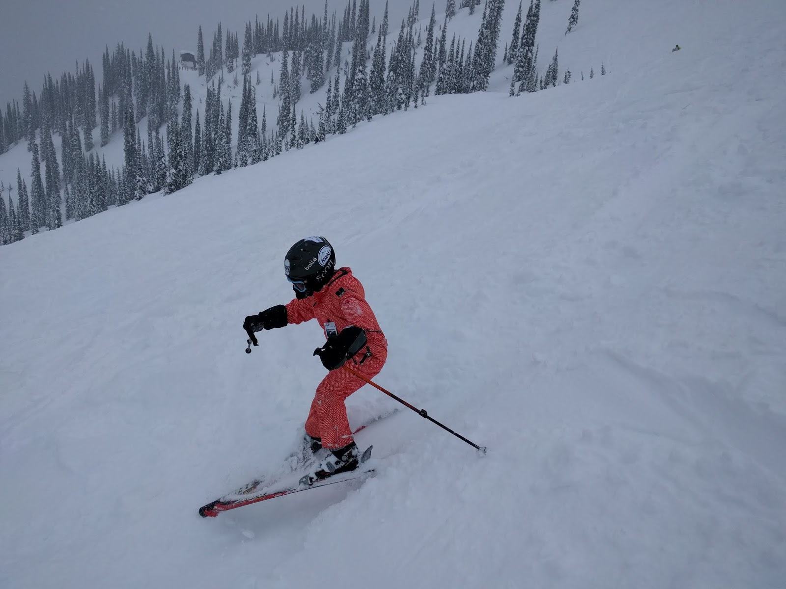 Family Adventures in the Canadian Rockies: A Ski Family's Holiday Gift ...
