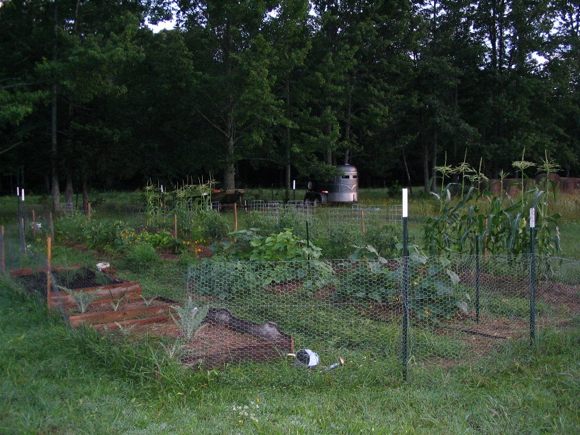 Real Food in Little Rock: Rattle's Garden: A Local Organic Farm