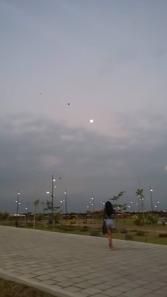 Parque Samanes, el nuevo pulmón de Guayaquil.: Parque Samanes, el nuevo ...