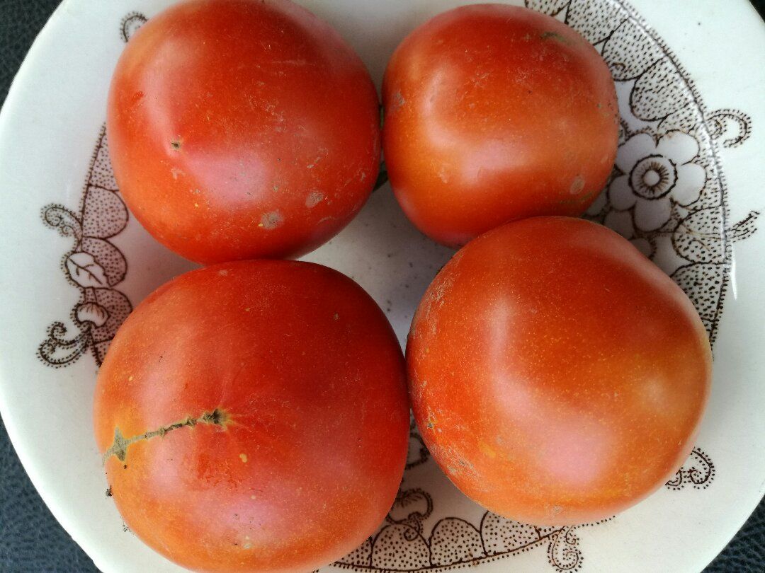 cele patru anotimpuri: Roşii