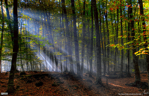 Las cosas de Bea... con mucho amor: EL FINAL DEL VERANO...
