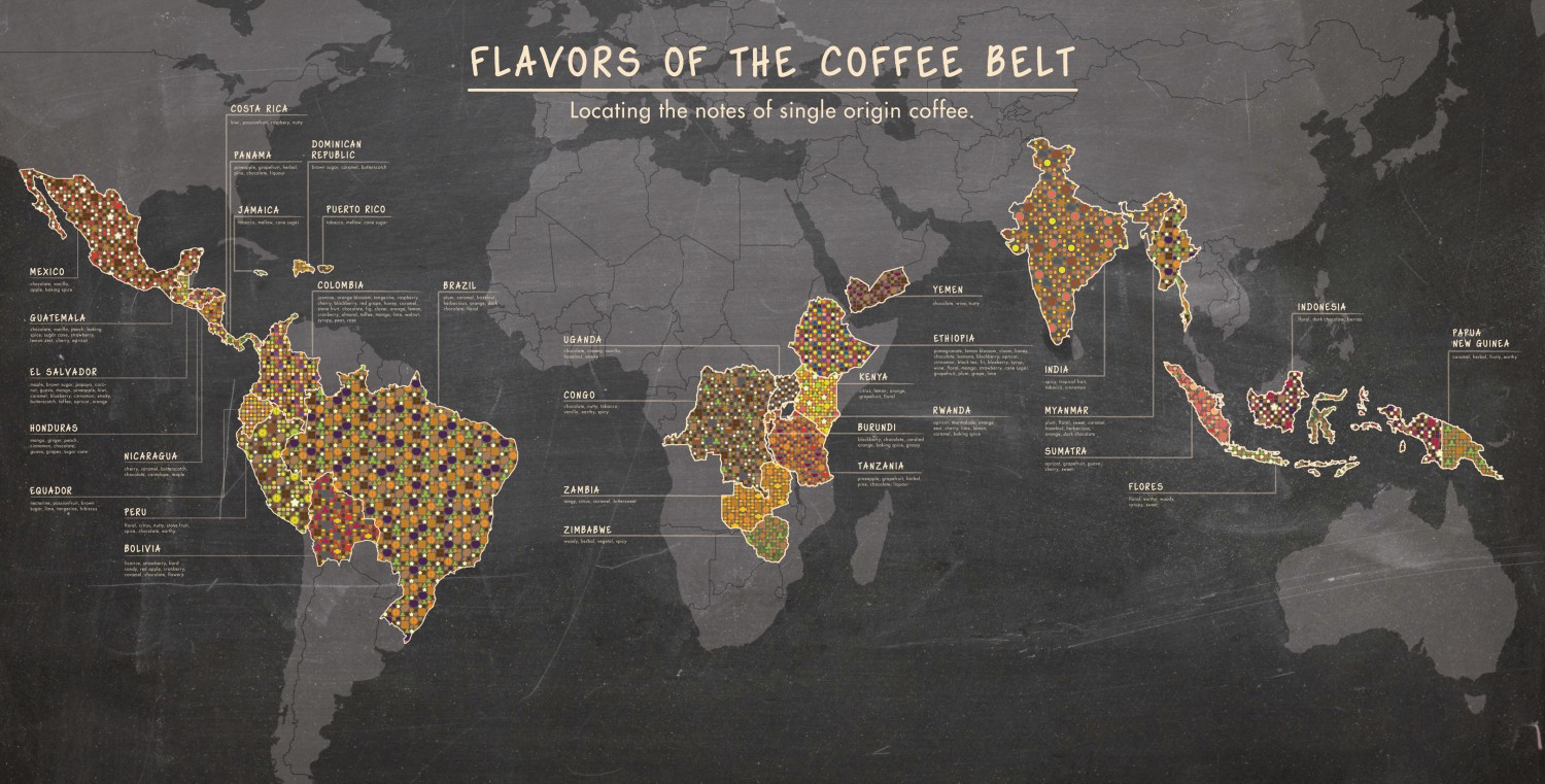 Coffee Construct: WHY IS THE BEAN BELT SPECIAL - สร้างโรงกาเเฟ