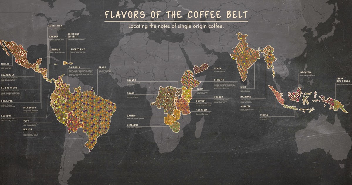 Coffee Construct: WHY IS THE BEAN BELT SPECIAL - สร้างโรงกาเเฟ