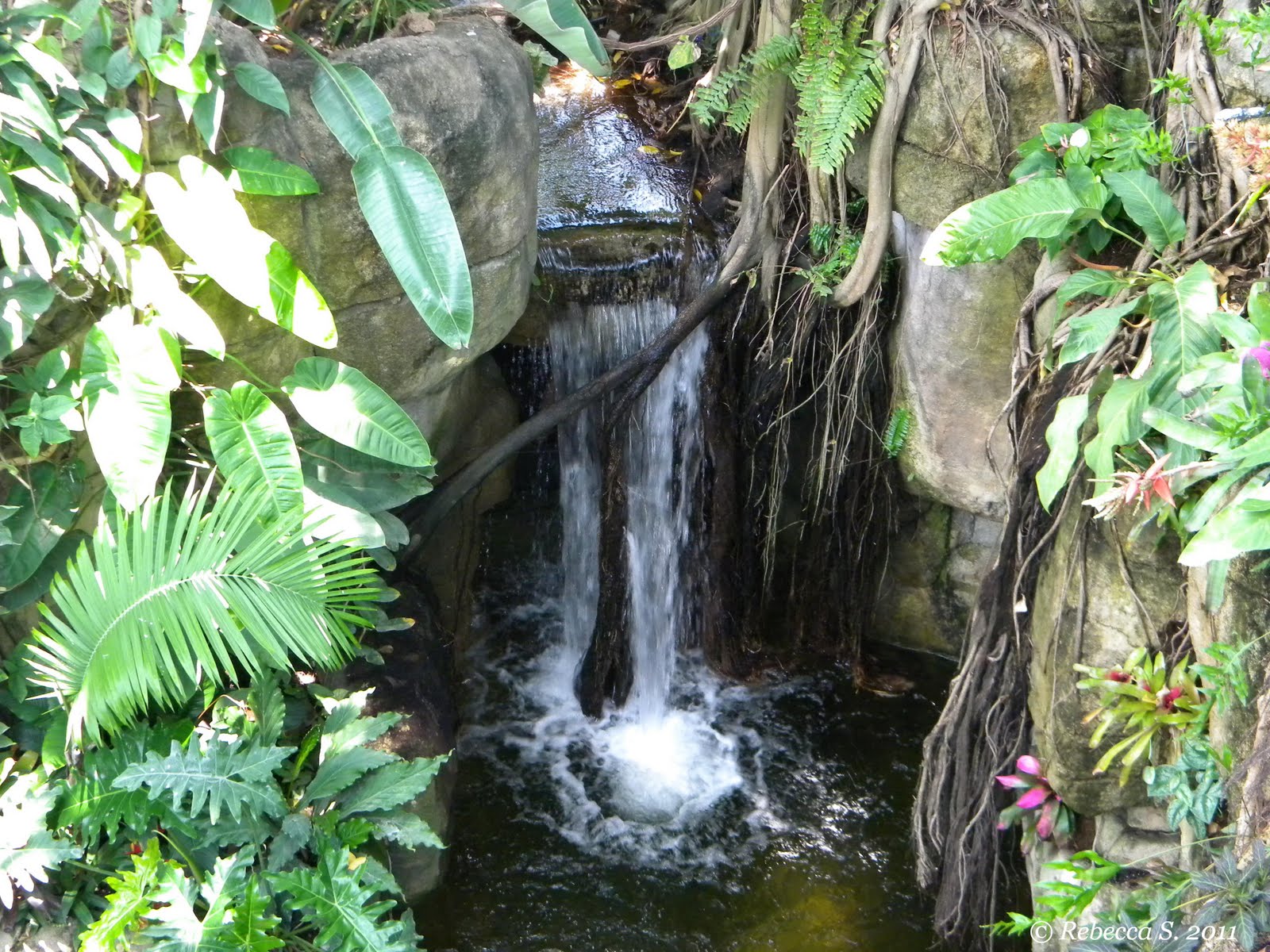 Rebecca’s Retreat: Retreating at the Rainforest Pyramid