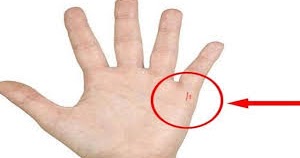 Santan Rekha | Hast Rekha Gyan ~ INDIAN PALM READING | HAST REKHA GYAN