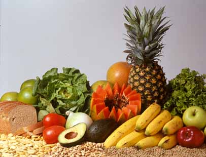 Fast Foods Alimentos Saudáveis