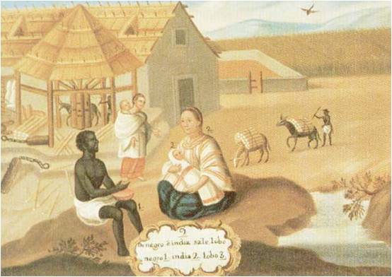 Turismo: Grupos Mestizos y Grupos Indígenas