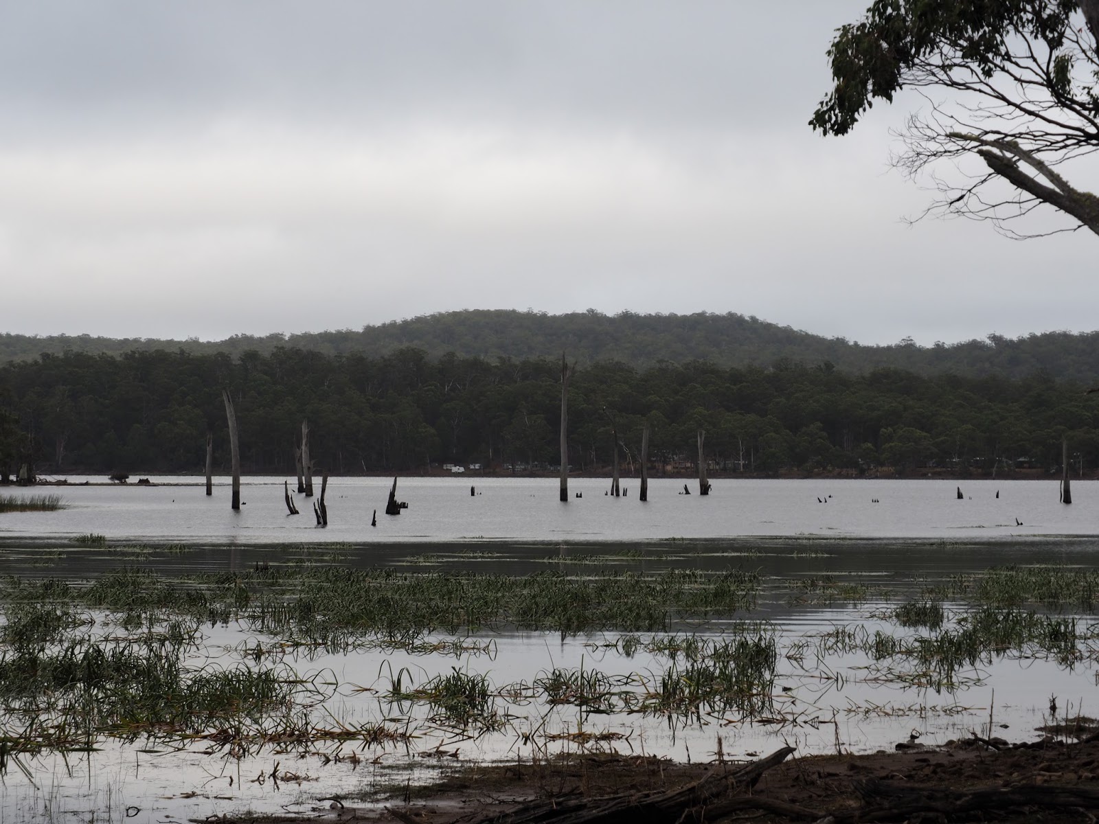Tooms Lake | Hiking South East Tasmania