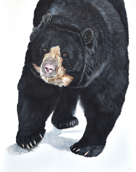 Ester Curini | Italian Animal Painter