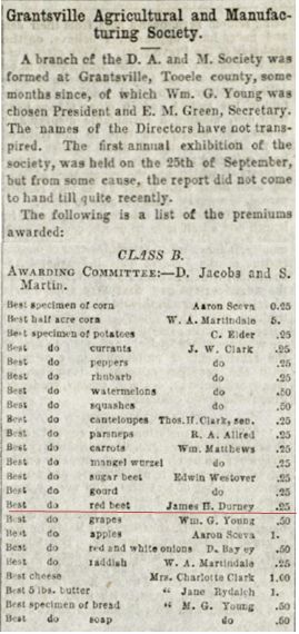 They Came to America . . .: James Holiday Durney 1831-1873