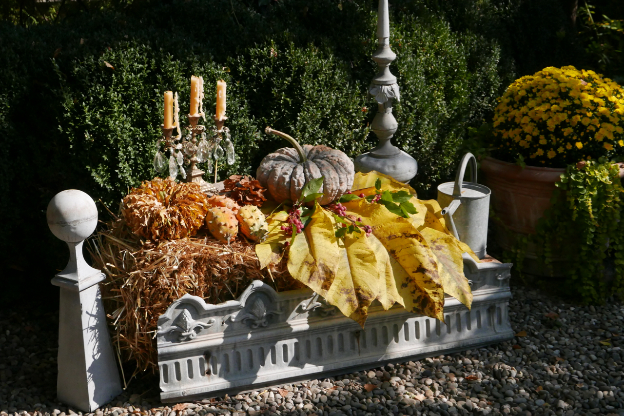 Ambiance-Jardin: Ambiance automnale