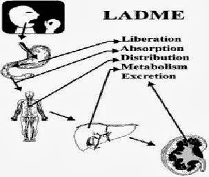 farmacia astral: PROCESO LADME