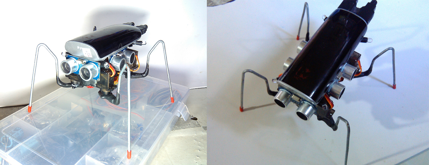 CHAOTIC VOLTAGE: WALTER - The Arduino Insect Robot