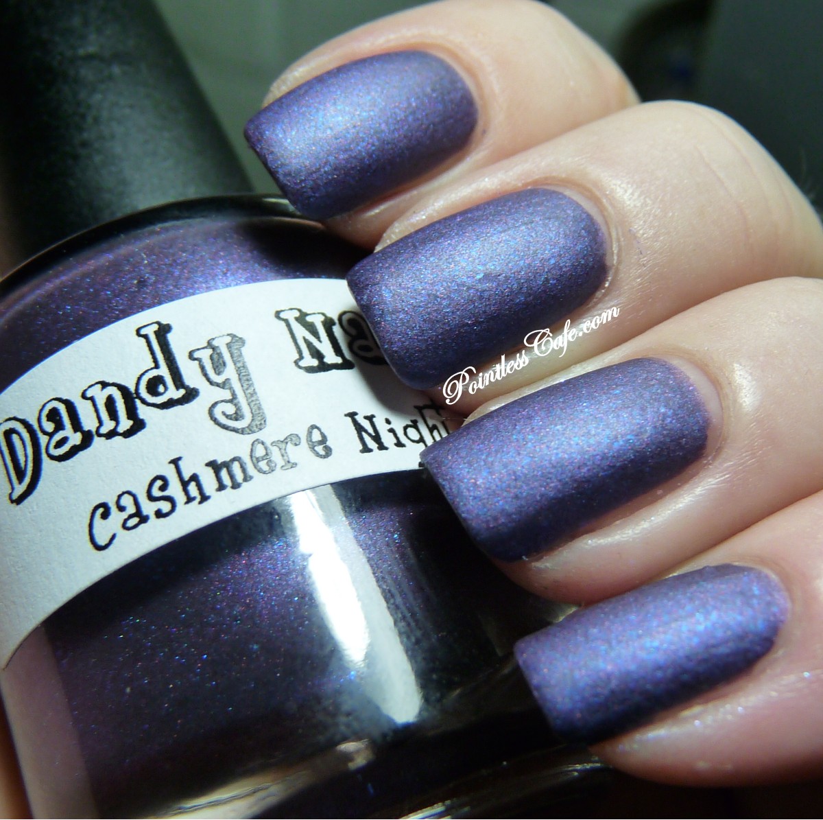 Dandy Nails Winter Collection 2012 | Pointless Cafe