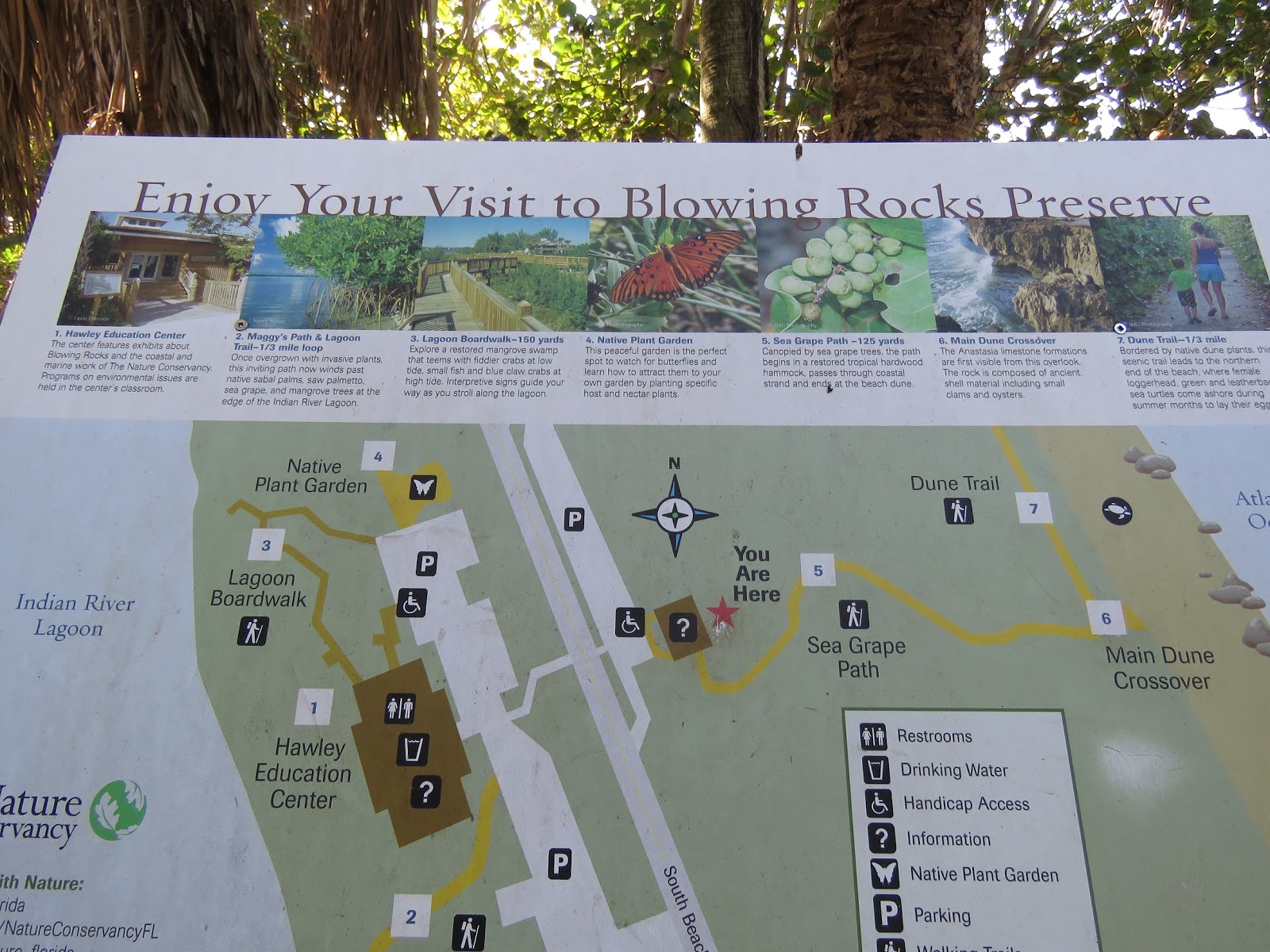 Viewing nature with Eileen: Blowing Rocks Preserve, Jupiter Florida