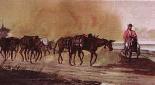 Historia Colonial Ituzaingó, Morón y Merlo: CRIA DE MULAS Y ESPACIO ...