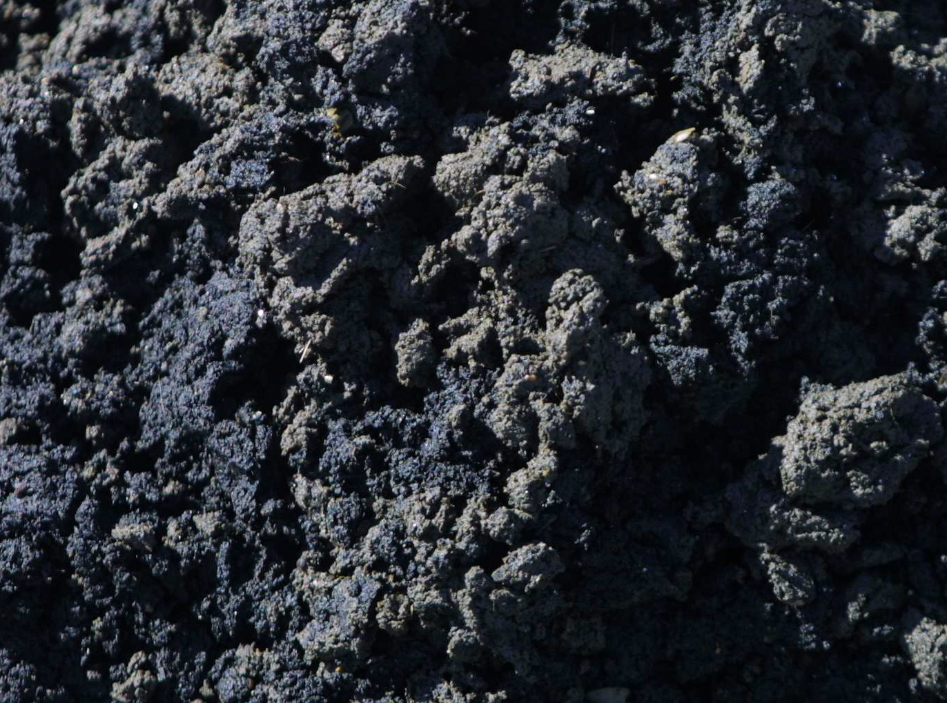 Biosolids: an intersection of public health, clean water, and ...